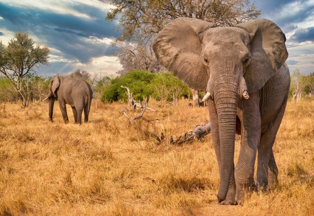 Understanding PostgreSQL Background Processes Understanding PostgreSQL Background Processes