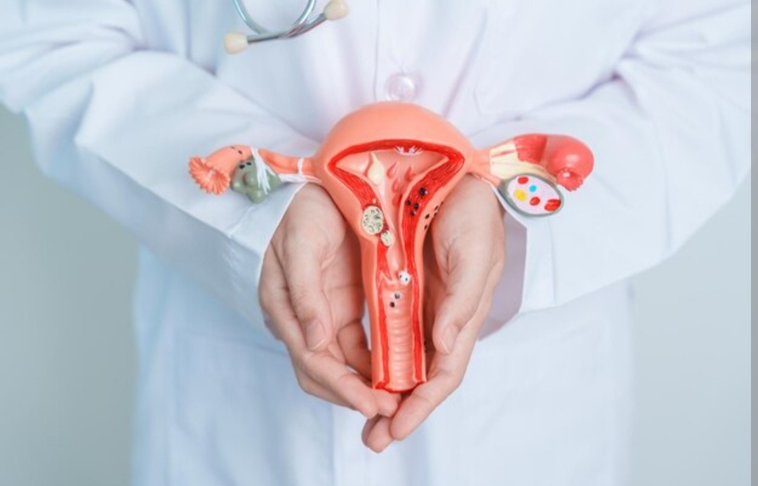 Uterine Transplantation Uterine Transplantation