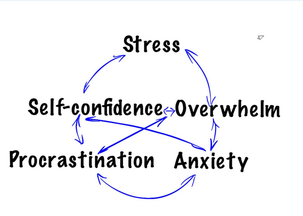 Break Free from the Cycle of Stress, Anxiety, and Overwhelm Break Free from the Cycle of Stress, Anxiety, and Overwhelm