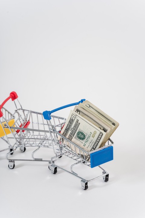 What is Conscious Consumerism? What is Conscious Consumerism?