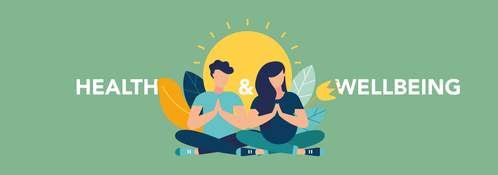 Healthcare and Wellbeing System Healthcare and Wellbeing System