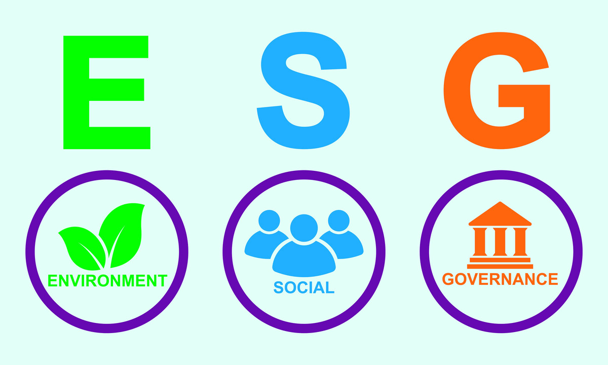 ESG & Sustainability Advisory Services ESG & Sustainability Advisory Services