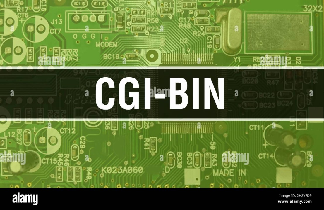 Mastering CGI Scripts: Leveraging the cgi-bin Directory for Web ... Mastering CGI Scripts: Leveraging the cgi-bin Directory for Web ...