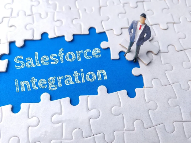 WordPress Salesforce Integration WordPress Salesforce Integration