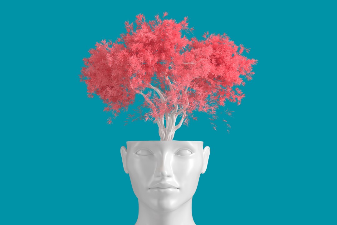 Talent Management Practices Talent Management Practices