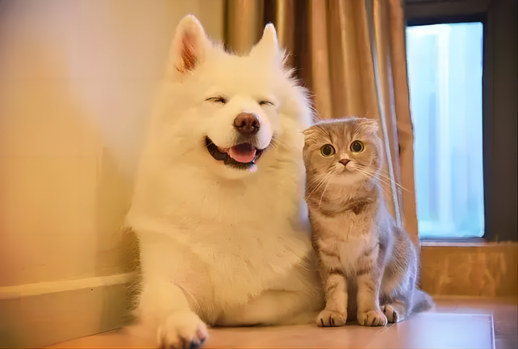 Unleashing the Potential: Exploring the Booming Pet Products Market Unleashing the Potential: Exploring the Booming Pet Products Market