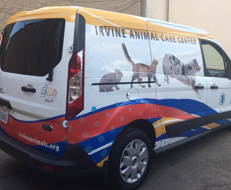 Maximizing Brand Visibility: The Power of Vehicle Wraps in Today's ... Maximizing Brand Visibility: The Power of Vehicle Wraps in Today's ...