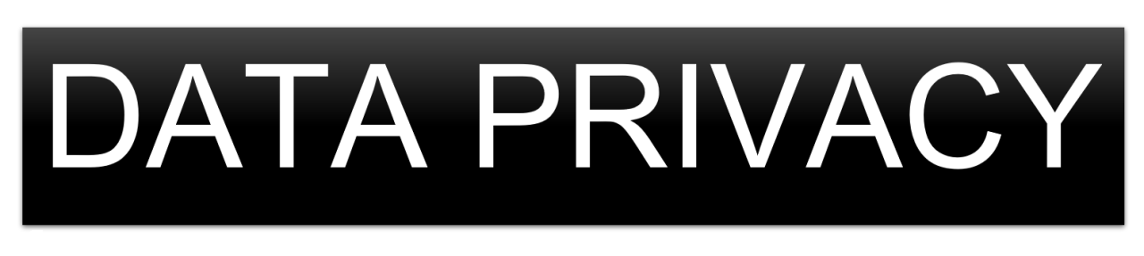 UNDERSTANDING DATA PRIVACY UNDERSTANDING DATA PRIVACY