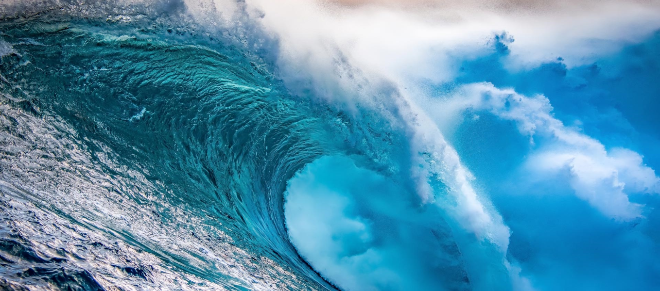 Navigating the Tides of Digital Transformation Navigating the Tides of Digital Transformation