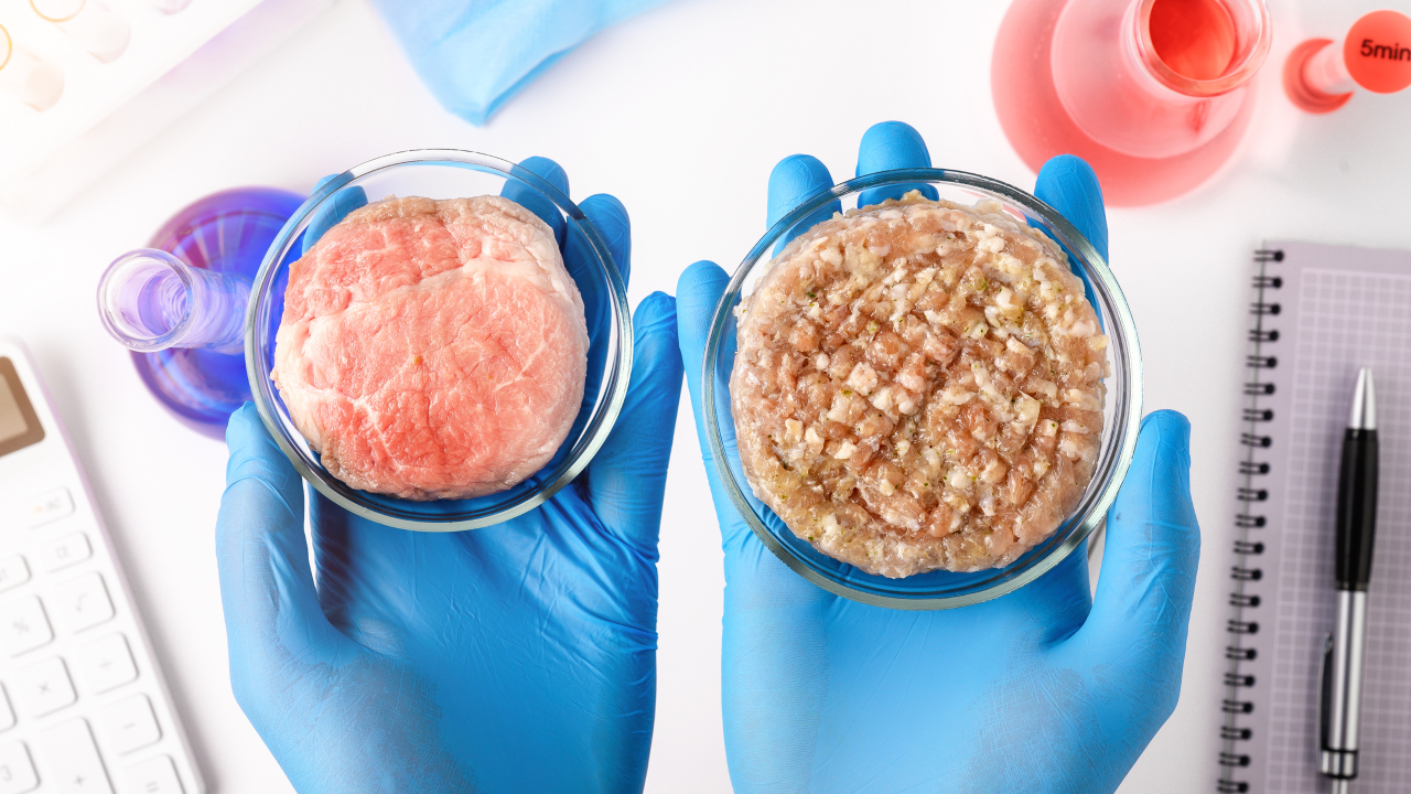 A Startup That Uses Synthetic Biology to Make New Products A Startup That Uses Synthetic Biology to Make New Products