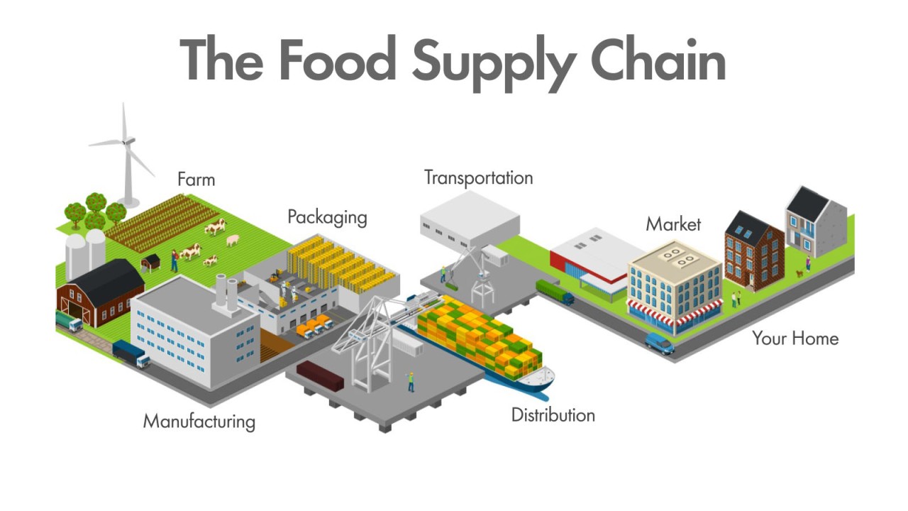 FOOD SUPPLY CHAIN FOOD SUPPLY CHAIN
