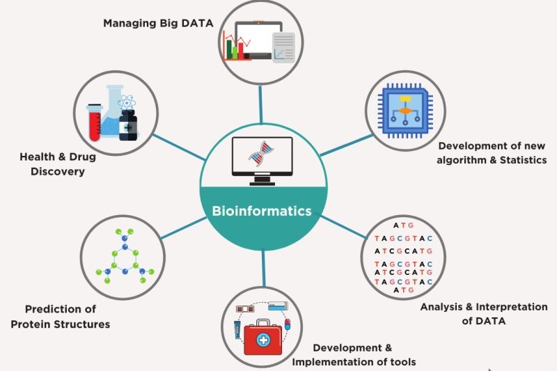 Bioinformatics Services Market - Forecast(2024 - 2030) Bioinformatics Services Market - Forecast(2024 - 2030)