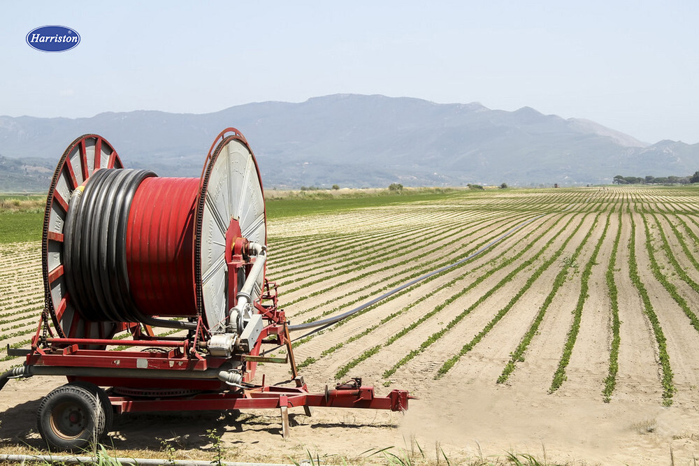 Irrigation Scheduling Can Help Maximize Crop Production. Irrigation Scheduling Can Help Maximize Crop Production.