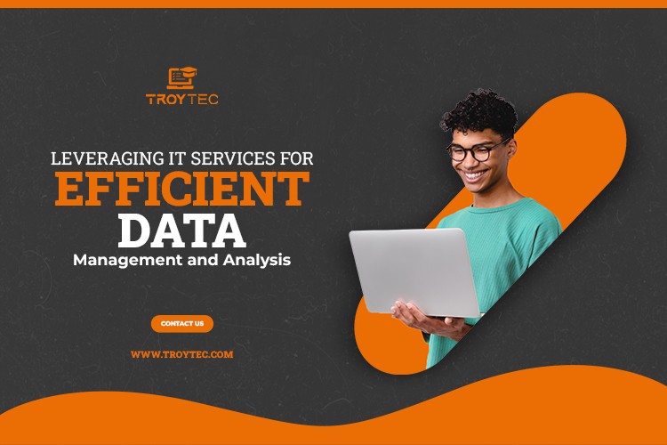 Leveraging IT Services for Efficient Data Management and Analysis Leveraging IT Services for Efficient Data Management and Analysis