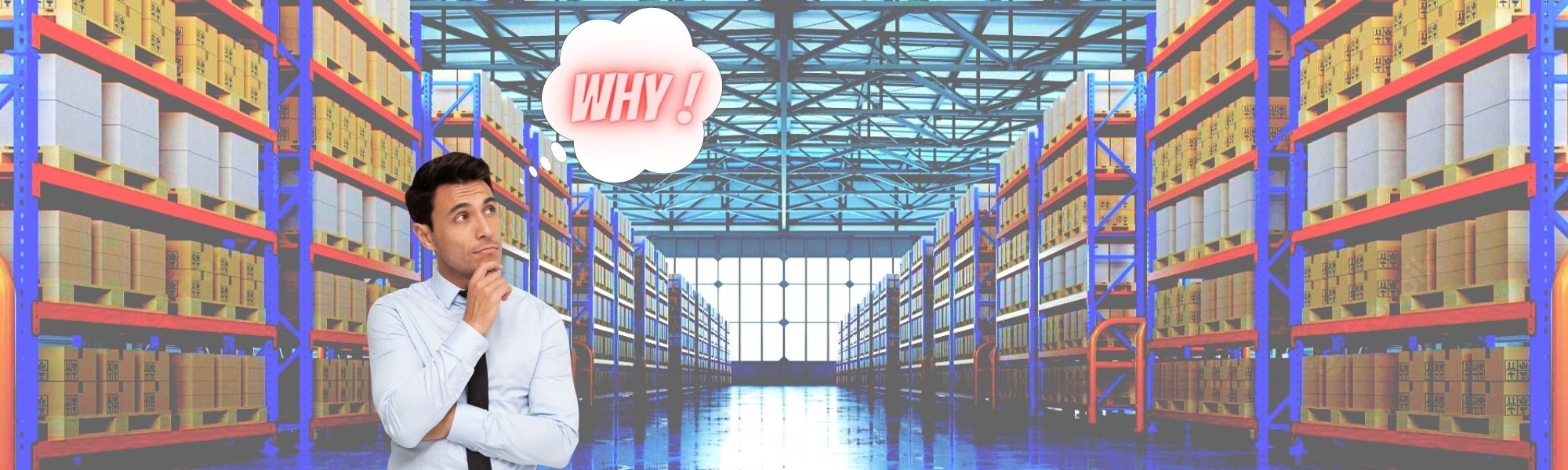 Why Warehousing Why Warehousing