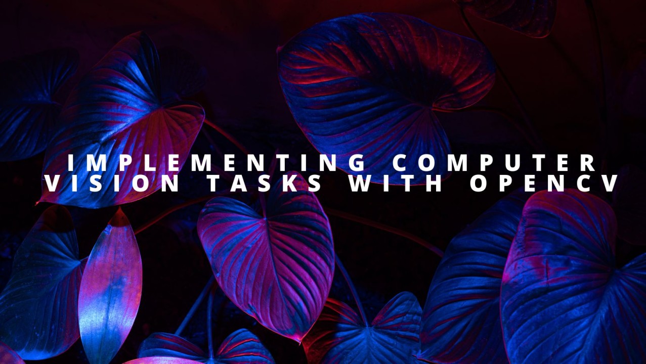 Implementing Computer Vision Tasks with OpenCV: A Practical Guide Implementing Computer Vision Tasks with OpenCV: A Practical Guide
