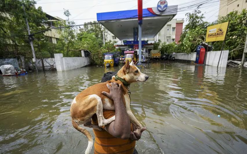 Unraveling the Chennai Floods: Understanding the Causes, Impact, and ... Unraveling the Chennai Floods: Understanding the Causes, Impact, and ...