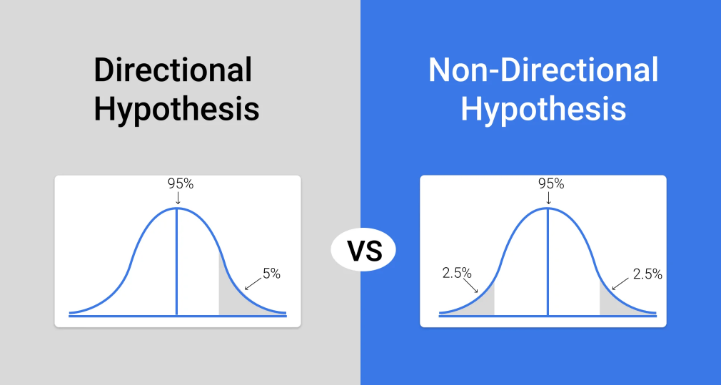 Exploring Different Types of Hypotheses Exploring Different Types of Hypotheses