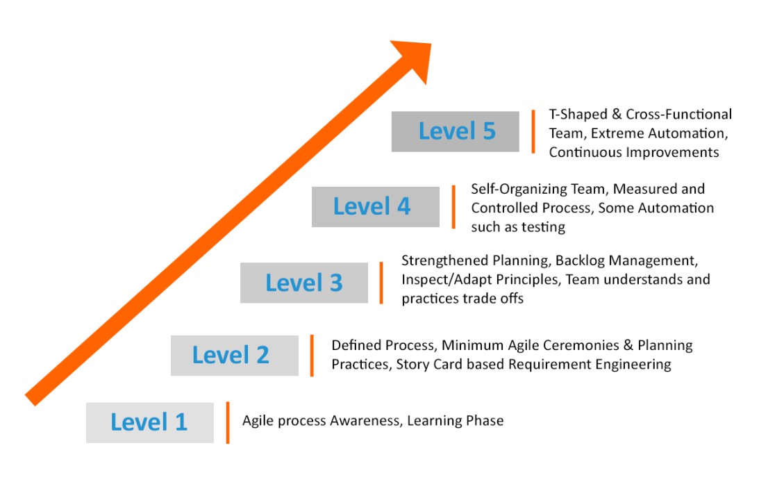 Why we need Agile Maturity Survey Why we need Agile Maturity Survey