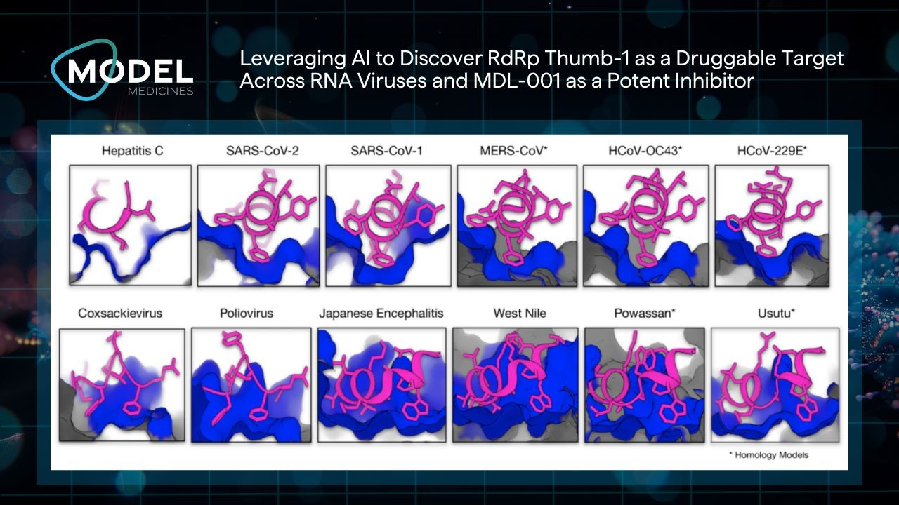 Model Medicines Reveals Breakthrough AI Discovery: RdRp Thumb-1, A ... Model Medicines Reveals Breakthrough AI Discovery: RdRp Thumb-1, A ...