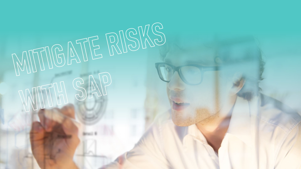 SAP Risk Reporting SAP Risk Reporting