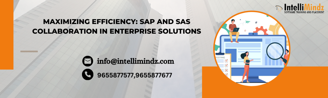 Maximizing Efficiency: SAP and SAS Collaboration in Enterprise Solutions Maximizing Efficiency: SAP and SAS Collaboration in Enterprise Solutions