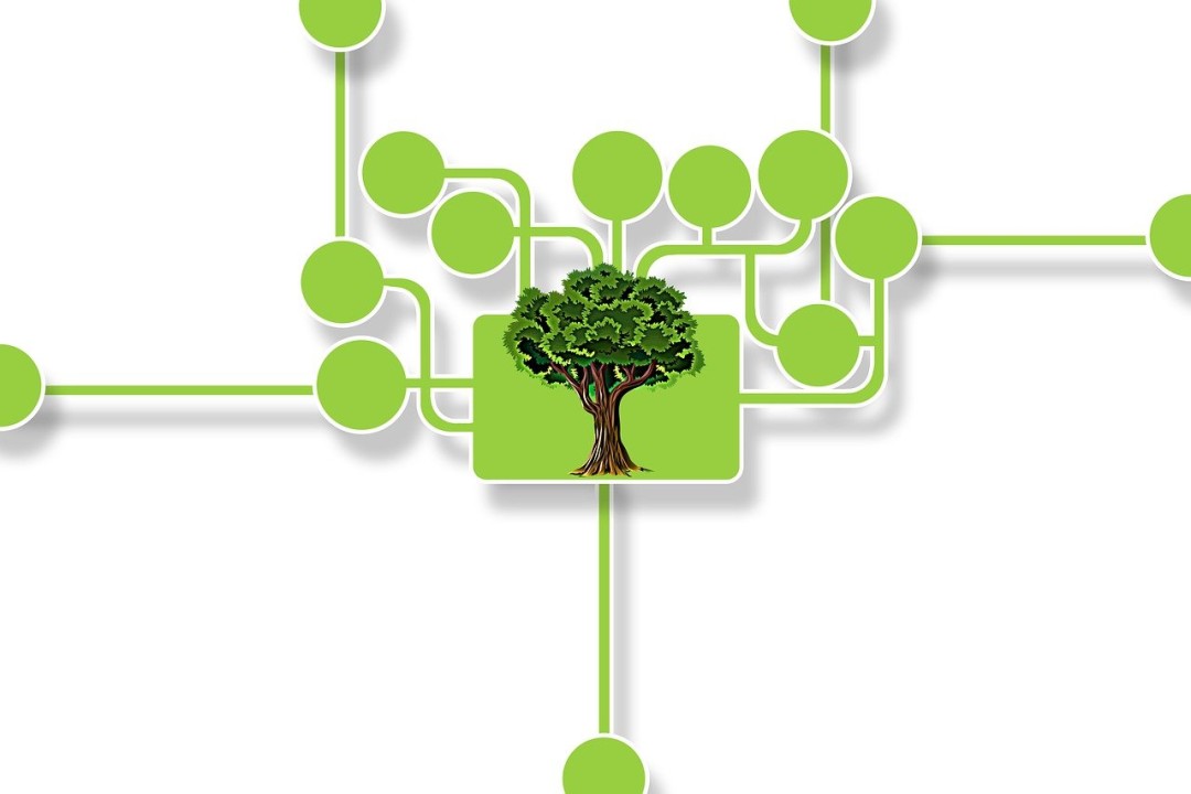 Crafting an Effective Business Strategy for Sustainability Crafting an Effective Business Strategy for Sustainability