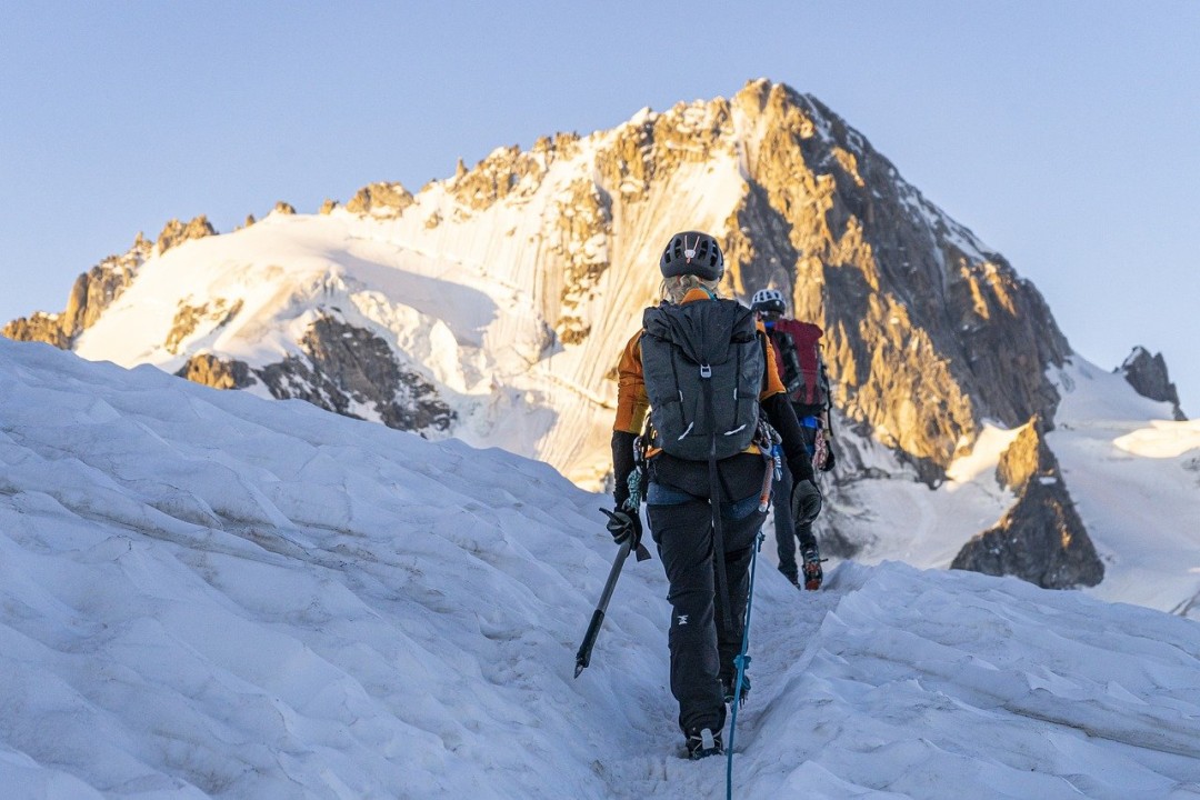 Unleashing the Power of Startup Sherpas: Navigating the Entrepreneurial ... Unleashing the Power of Startup Sherpas: Navigating the Entrepreneurial ...