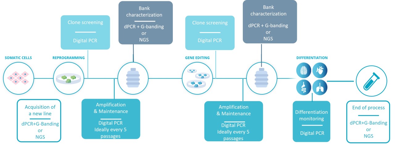 Genomic stability workflow for Pluripotent Stem Cells (PSC ... Genomic stability workflow for Pluripotent Stem Cells (PSC ...