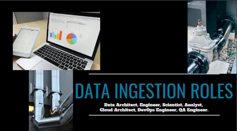 Understanding the Roles in a Data Ingestion Project: A Deep Dive Understanding the Roles in a Data Ingestion Project: A Deep Dive