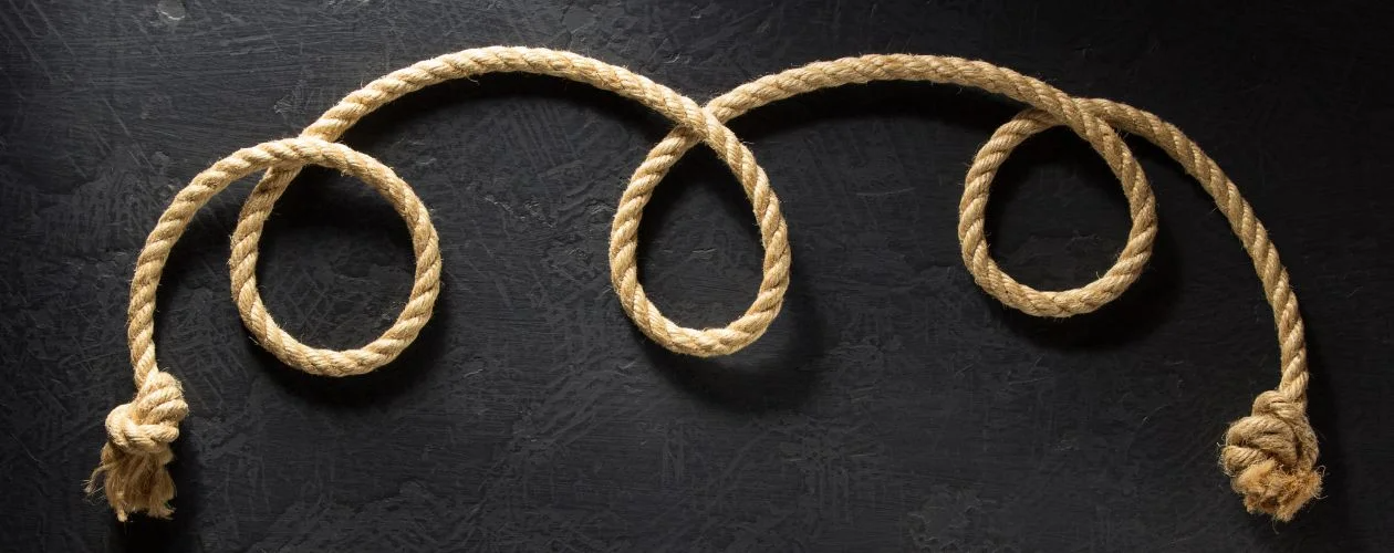 Understanding the Strategy-Execution Loop Understanding the Strategy-Execution Loop