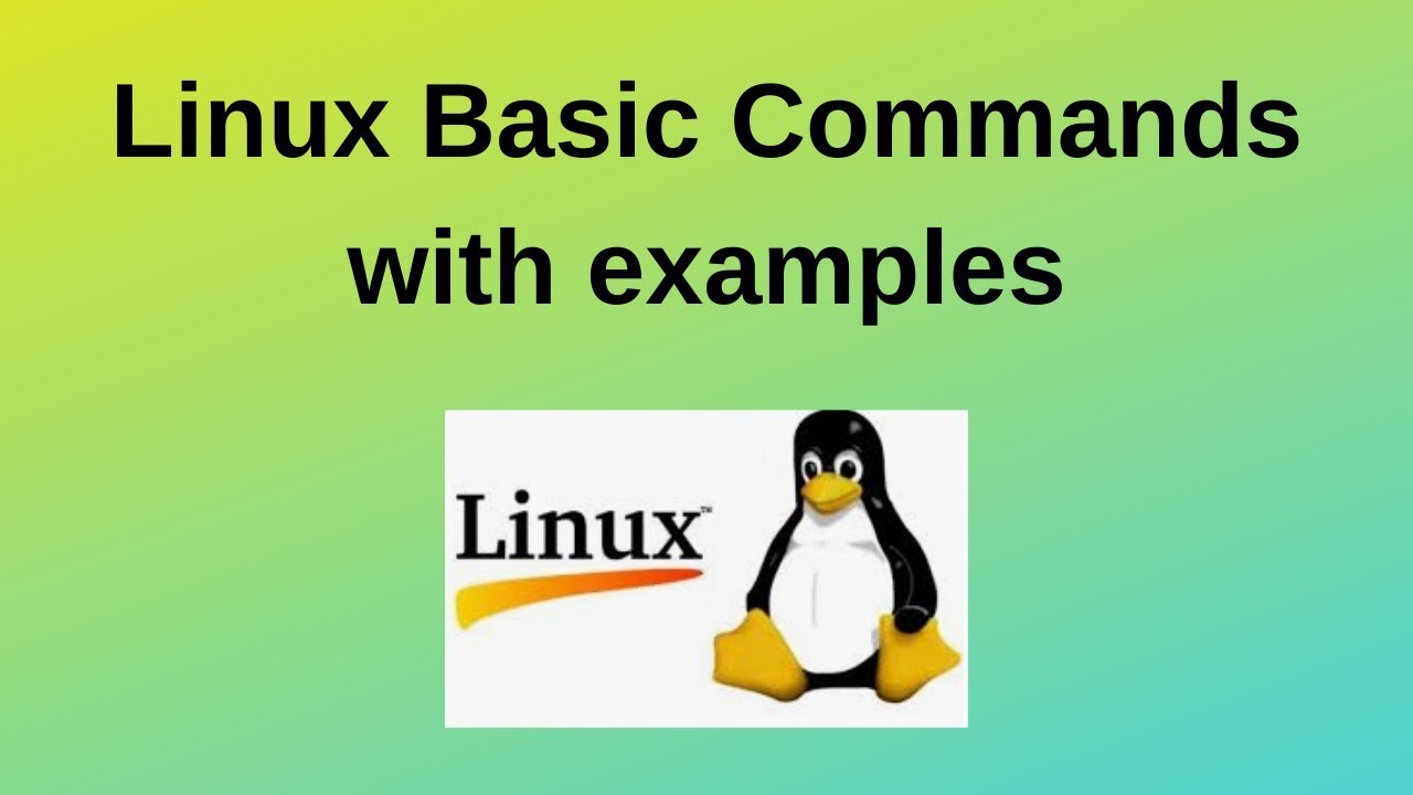 Day 3 Task: Basic Linux Commands #90DaysOfDevops Day 3 Task: Basic Linux Commands #90DaysOfDevops