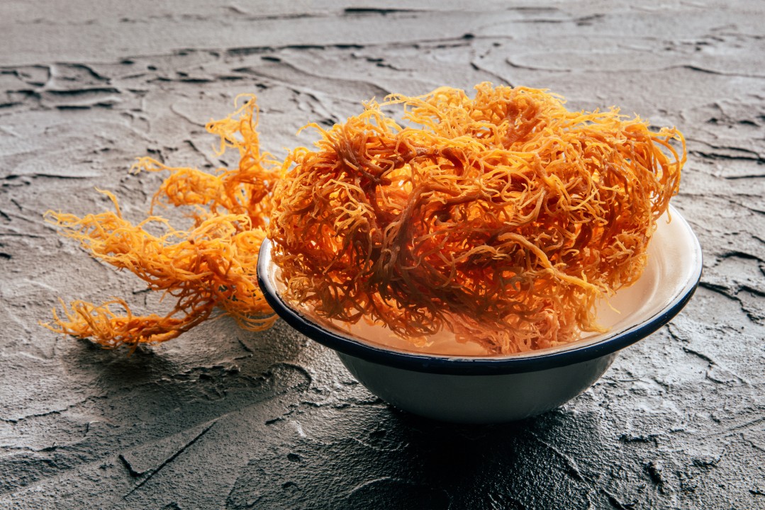 Will sea moss improve your skin health? Will sea moss improve your skin health?