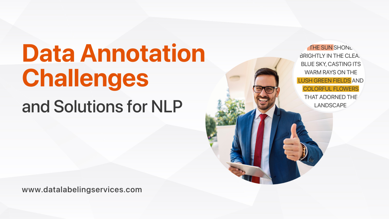 Data Annotation Challenges and Solutions for NLP Data Annotation Challenges and Solutions for NLP