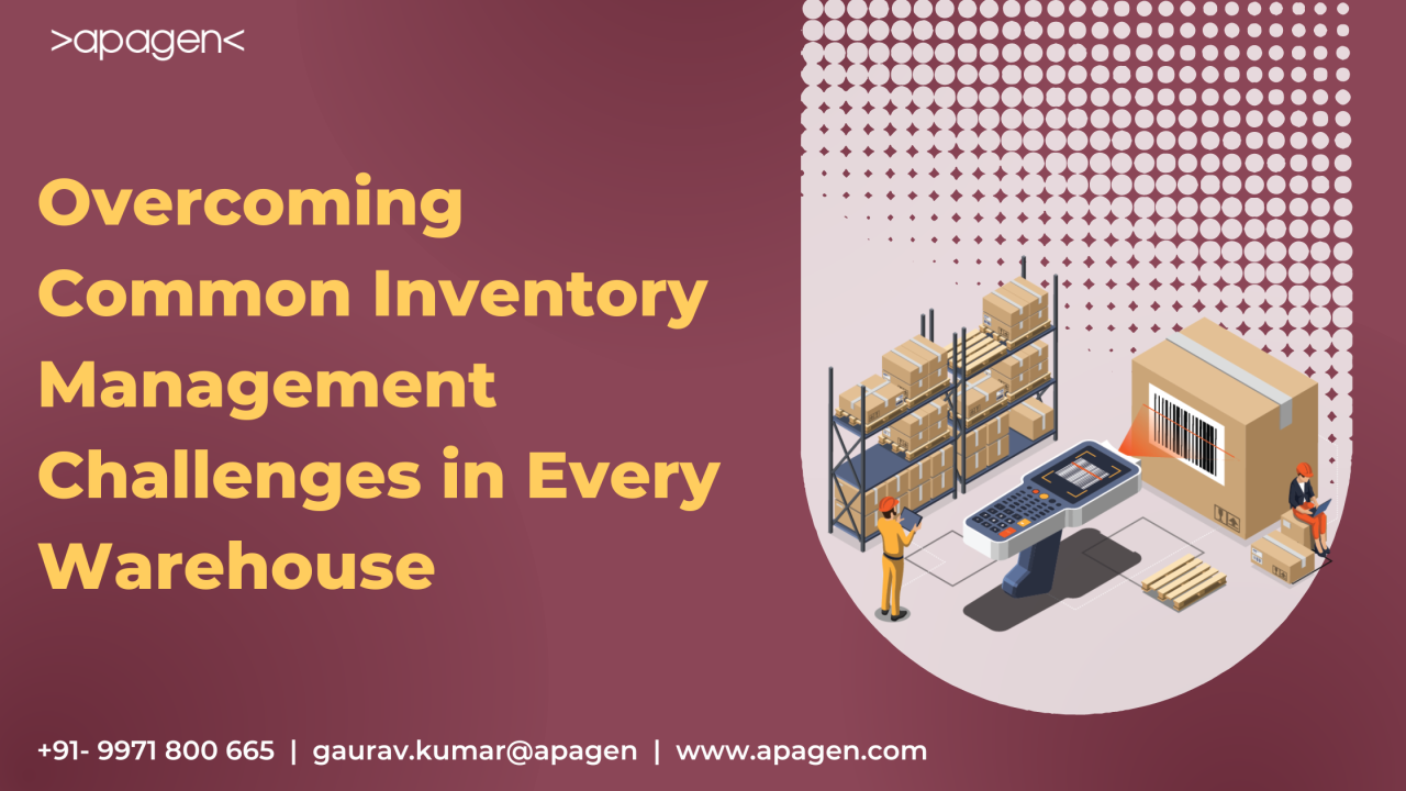 Overcoming Common Inventory Management Challenges in Every Warehouse Overcoming Common Inventory Management Challenges in Every Warehouse