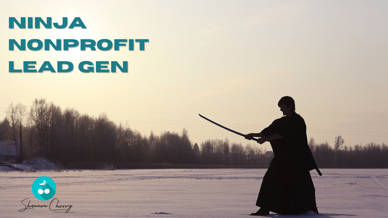 Unleashing the Nonprofit Ninja: Mastering Lead Generation Unleashing the Nonprofit Ninja: Mastering Lead Generation