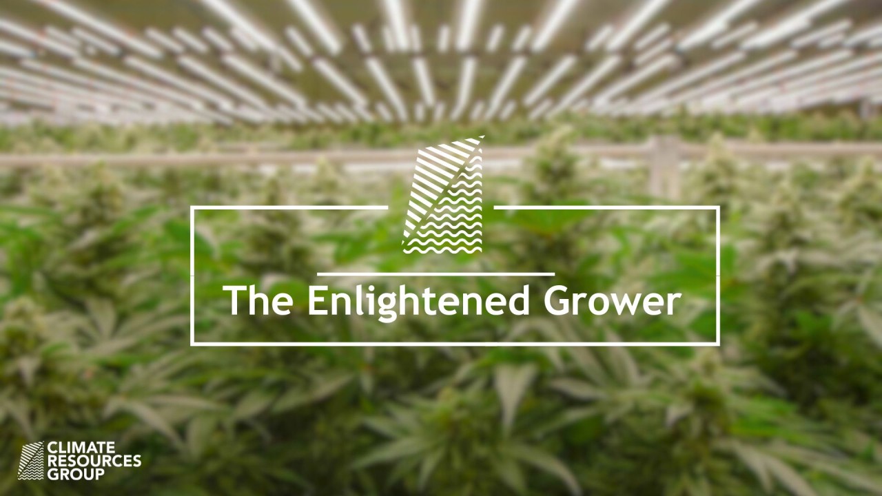 🌿 Maryland's Cannabis Market Buzzes with $20.9 Million in Sales in the ... 🌿 Maryland's Cannabis Market Buzzes with $20.9 Million in Sales in the ...