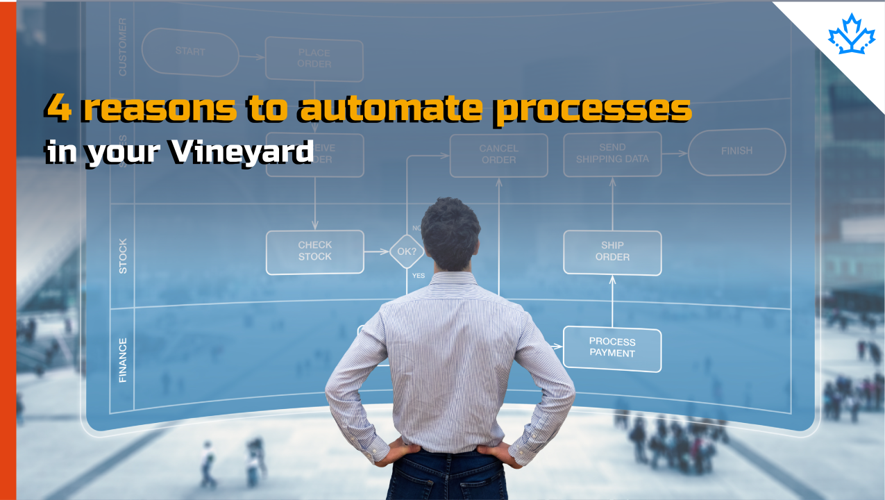 Four Reasons to automate processes in Your Vineyard Four Reasons to automate processes in Your Vineyard