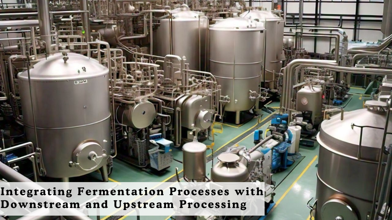 Integrating Fermentation Processes with Downstream and Upstream Processing Integrating Fermentation Processes with Downstream and Upstream Processing
