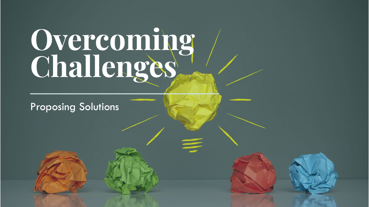 Navigating Challenges and Proposing Solutions Navigating Challenges and Proposing Solutions