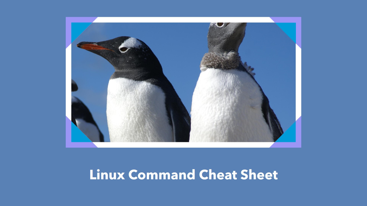 Linux command cheat sheet that covers some commonly used commands: Linux command cheat sheet that covers some commonly used commands: