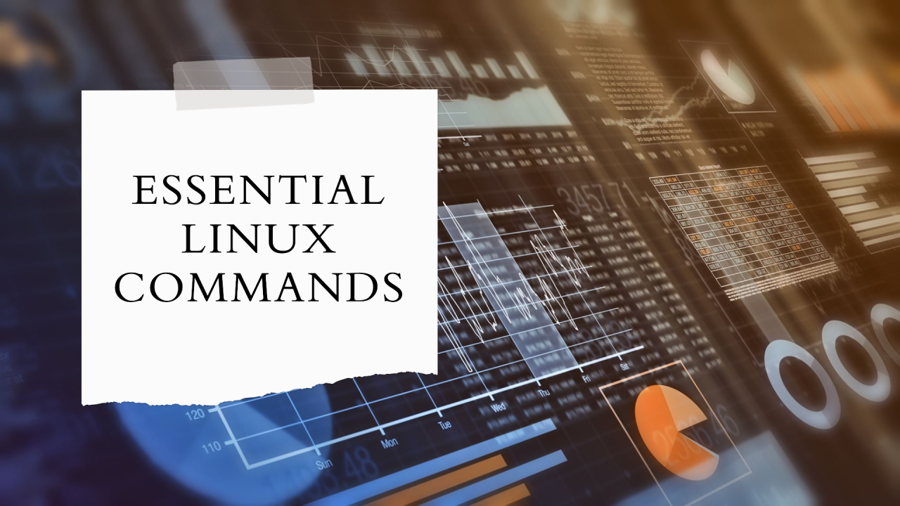 Mastering the Basics: Essential Linux Commands for Beginners Mastering the Basics: Essential Linux Commands for Beginners