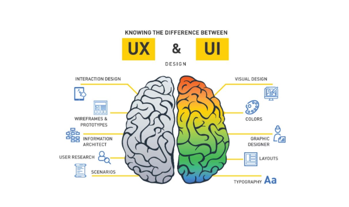 User Experience (UX) vs. User Interface (UI): Breaking Down the Differences User Experience (UX) vs. User Interface (UI): Breaking Down the Differences