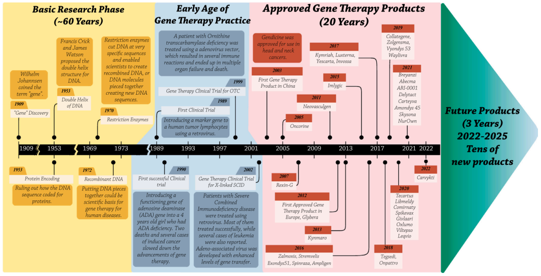 Global Clinical Overview of Gene Therapy Global Clinical Overview of Gene Therapy