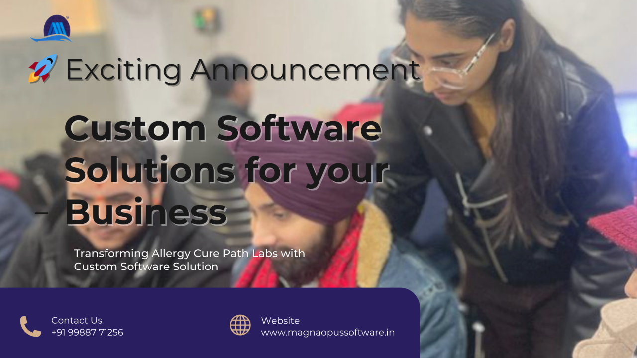 Transforming Businesses with custom software development Transforming Businesses with custom software development