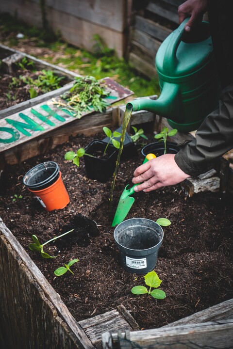 Systems Gardening – Using Leverage points for Systems Change Systems Gardening – Using Leverage points for Systems Change