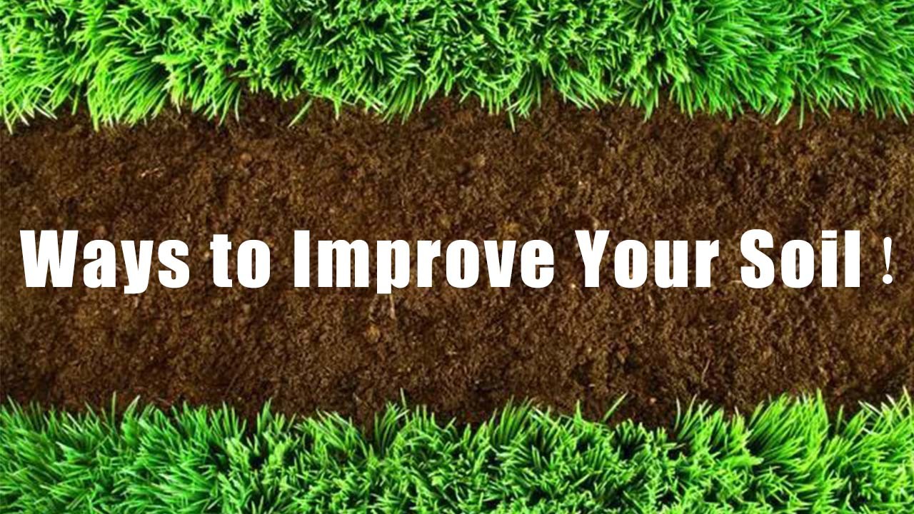 Ways to Improve Your Soil! Ways to Improve Your Soil!