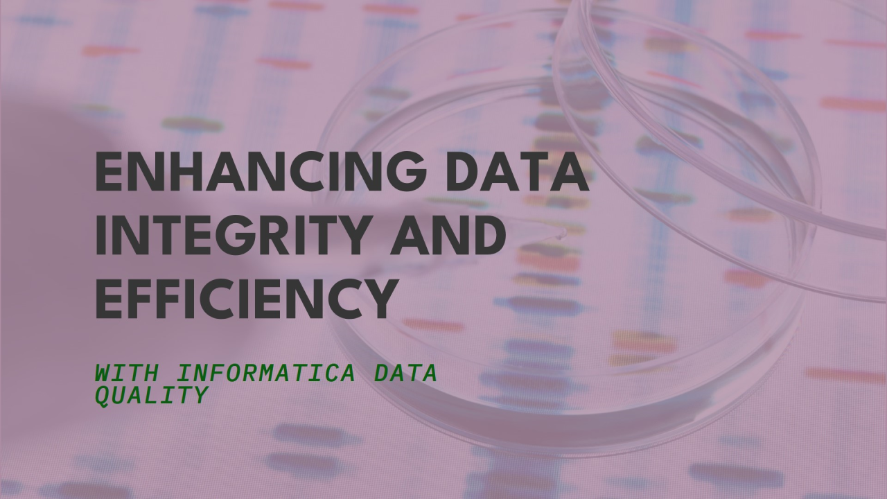 Enhancing Data Integrity and Efficiency with Informatica Data Quality Enhancing Data Integrity and Efficiency with Informatica Data Quality