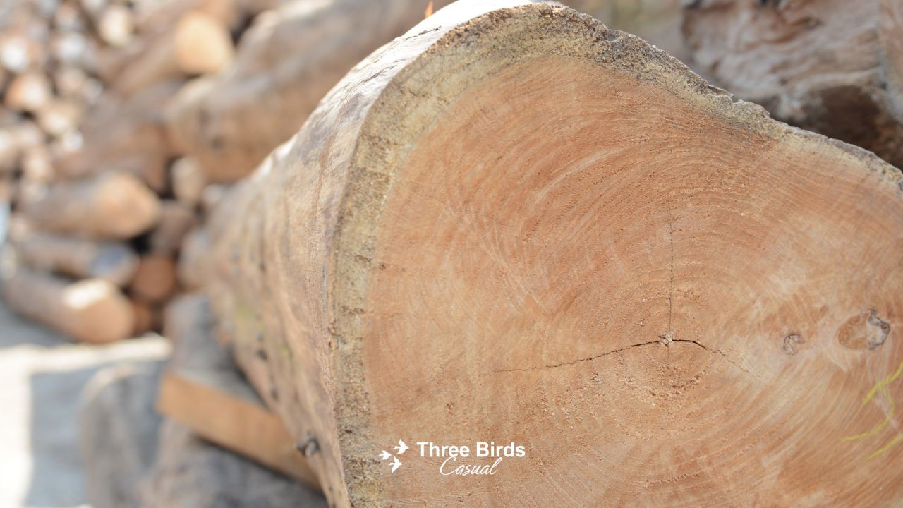 What Does sustainability look like in the world of teakwood? What Does sustainability look like in the world of teakwood?