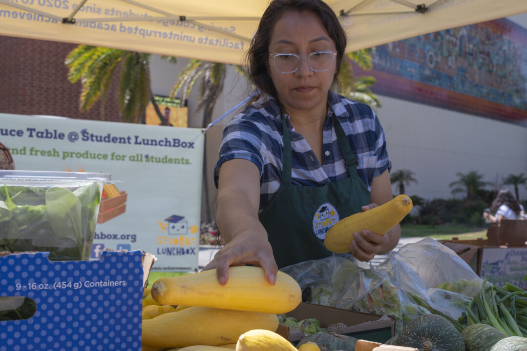 Addressing Food Insecurity: Empowering Communities for Sustainable ... Addressing Food Insecurity: Empowering Communities for Sustainable ...
